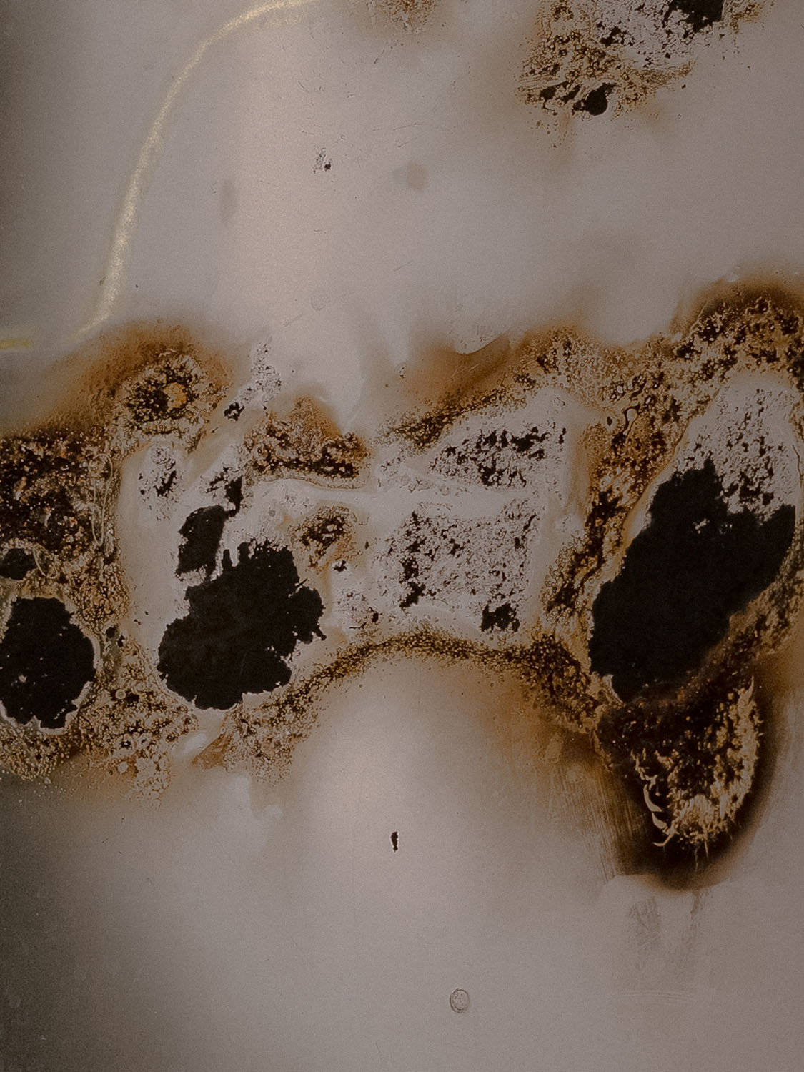 DANIEL WEIGEL — photographer.