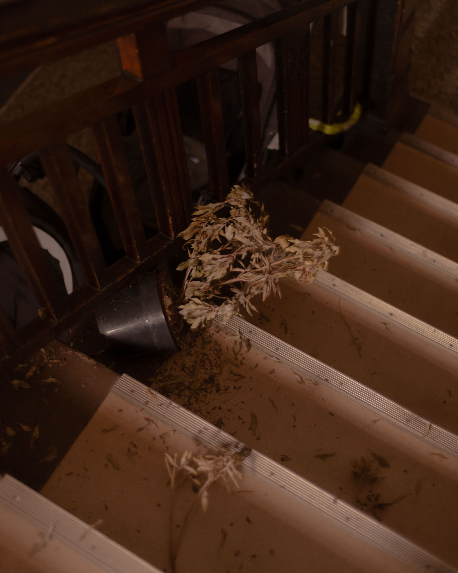 DANIEL WEIGEL — photographer. — INDEX | DANIEL WEIGEL, photographer in ...